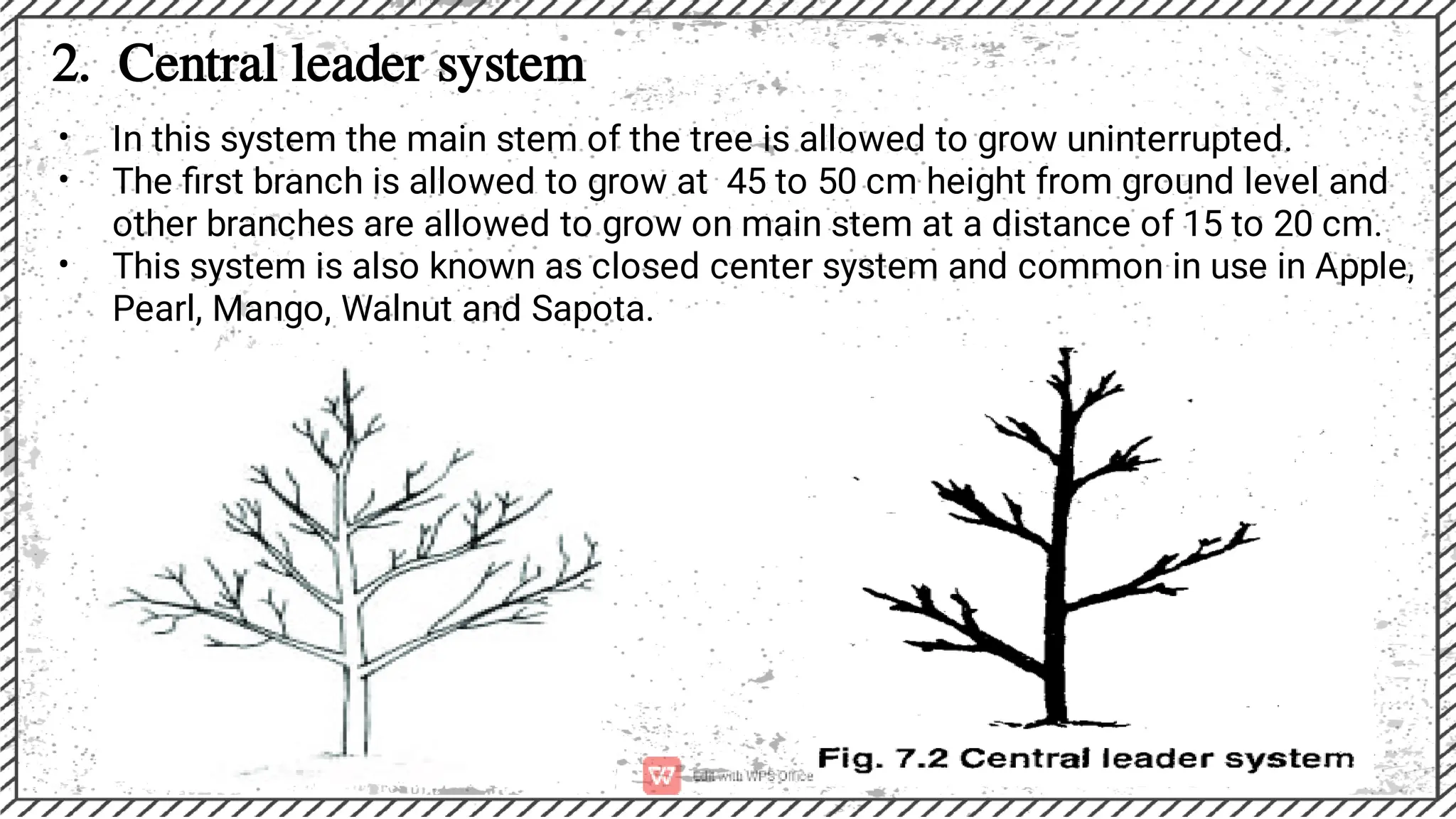 Special Horticultural Practices in fruit crops.pdf