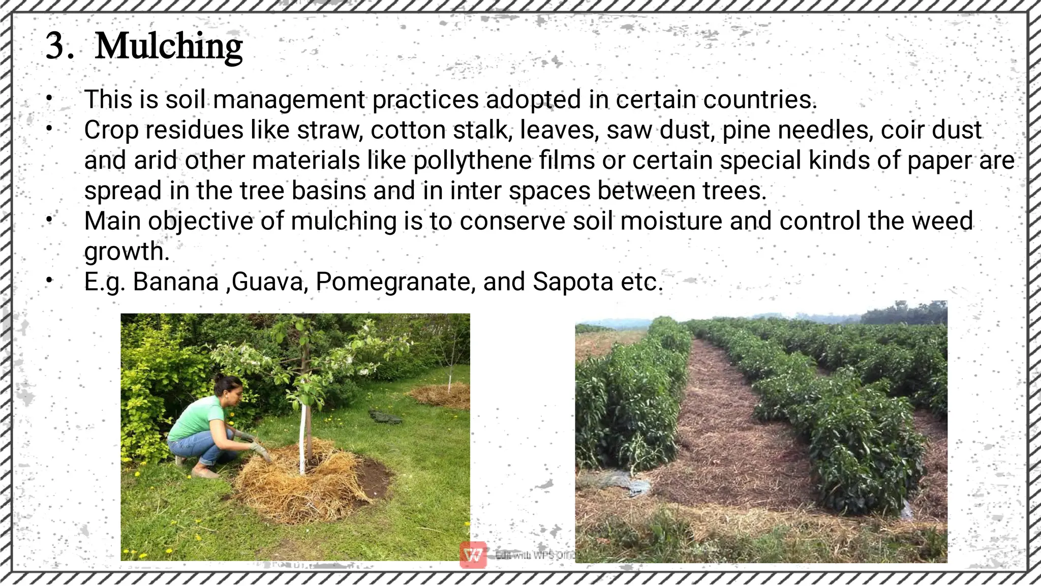 Special Horticultural Practices in fruit crops.pdf