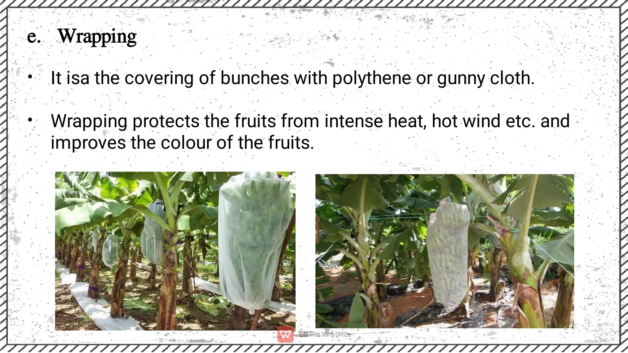 Special Horticultural Practices in fruit crops.pdf