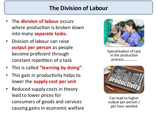Specialisation The Division Of Labour Specialisation The Division Of Labour