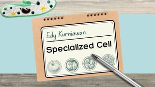 Specialised-cell.pptx