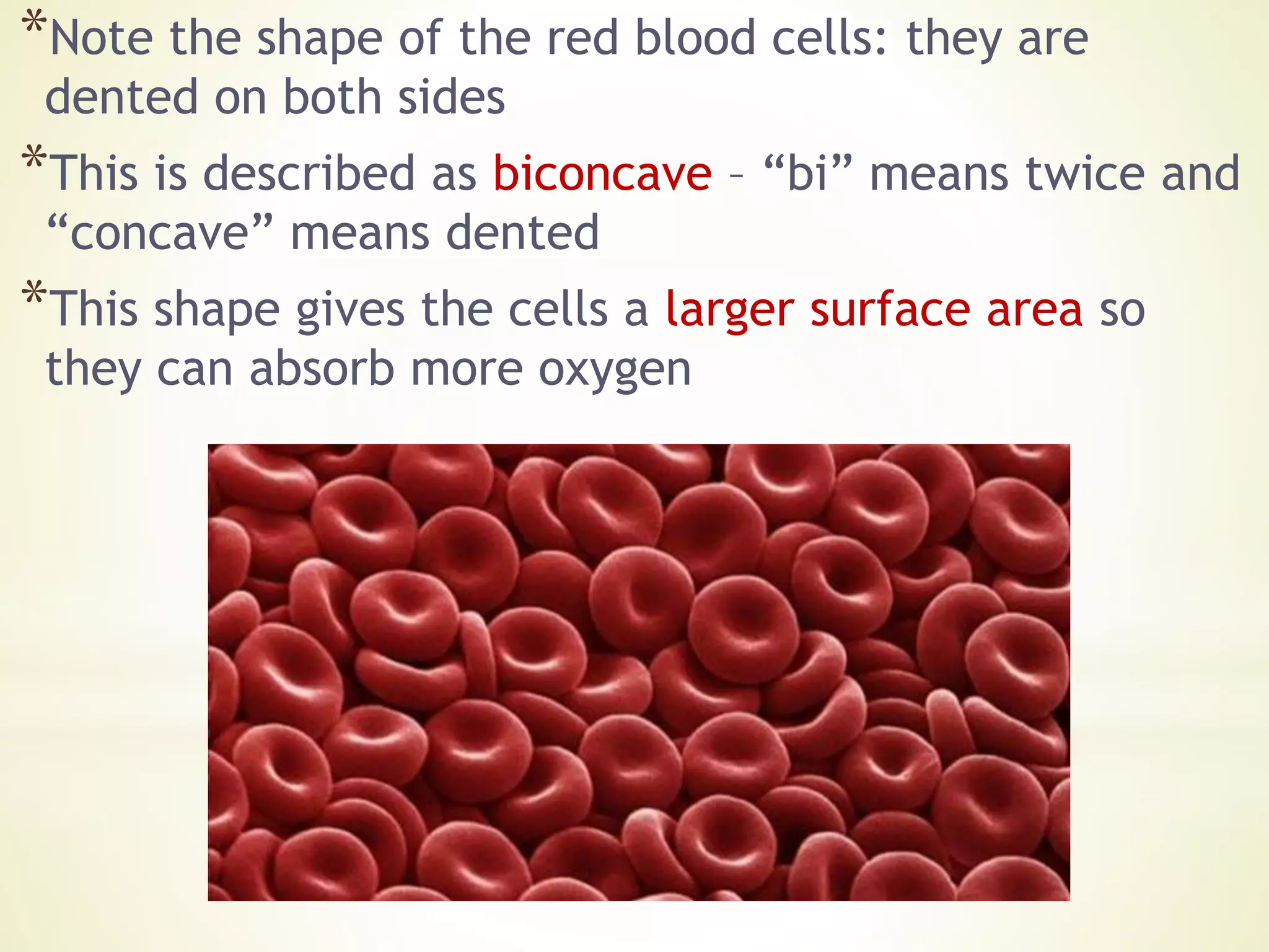 Specialised cells | PPTX