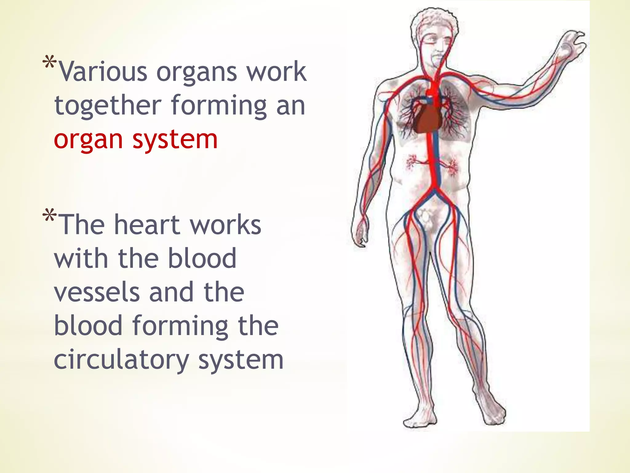 Specialised cells | PPTX