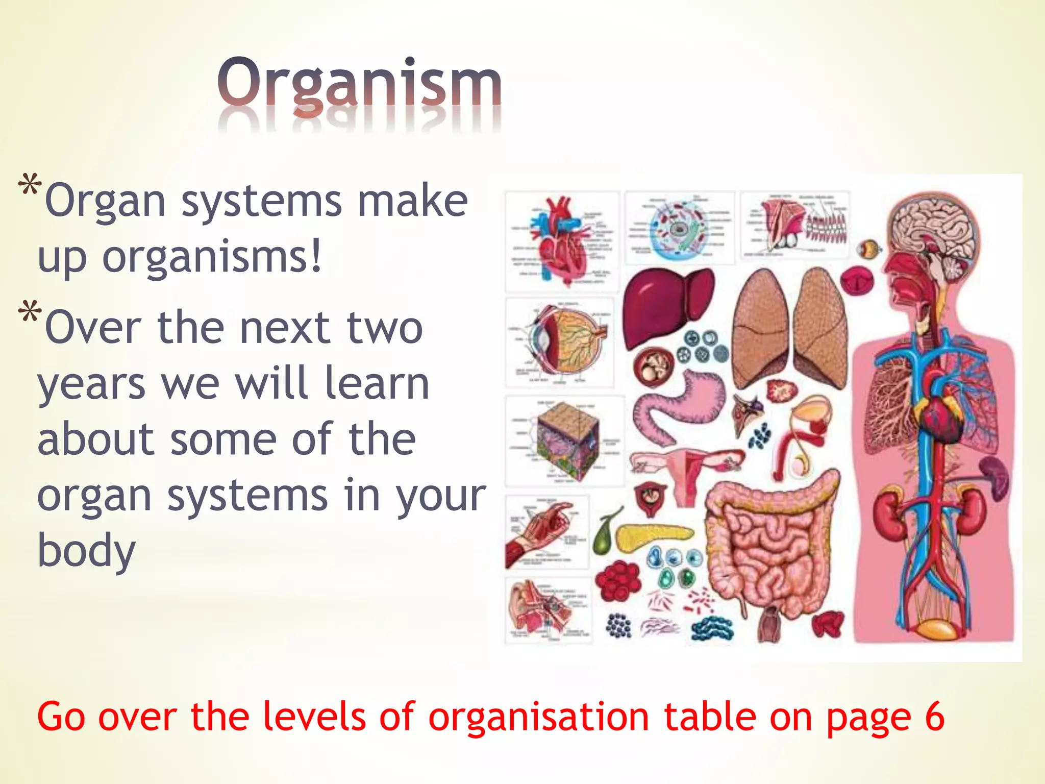 Specialised cells | PPTX