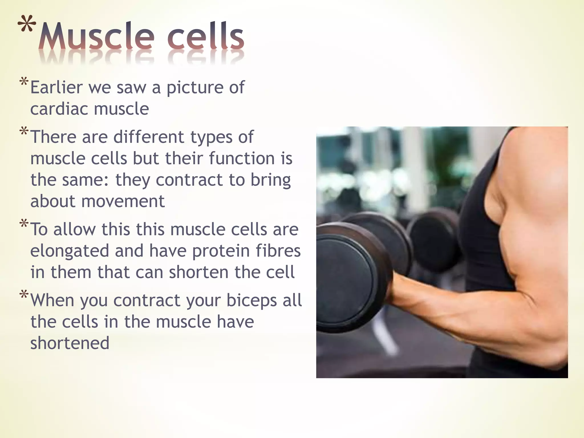 Specialised cells | PPTX