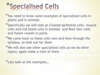 Specialised cells | PPTX
