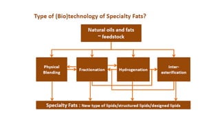 Applications of Specialty Fats and Shortening | PDF