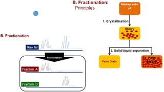 Applications of Specialty Fats and Shortening | PDF