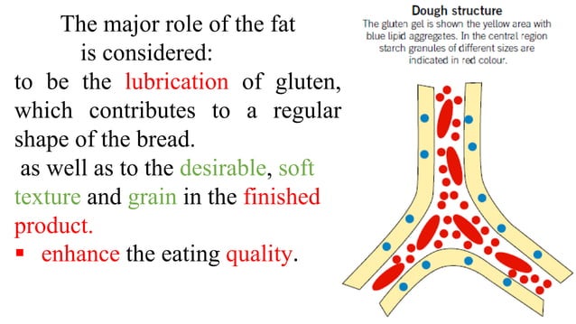 Applications of Specialty Fats and Shortening | PDF