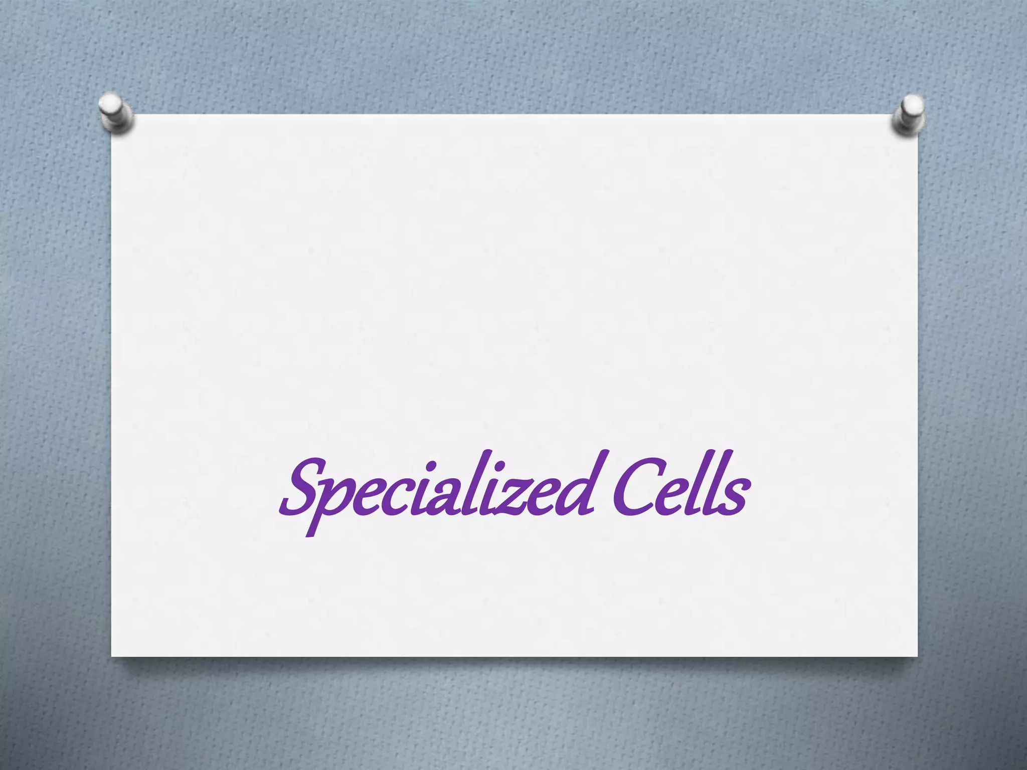 Specialized Cells, Biology | PPTX