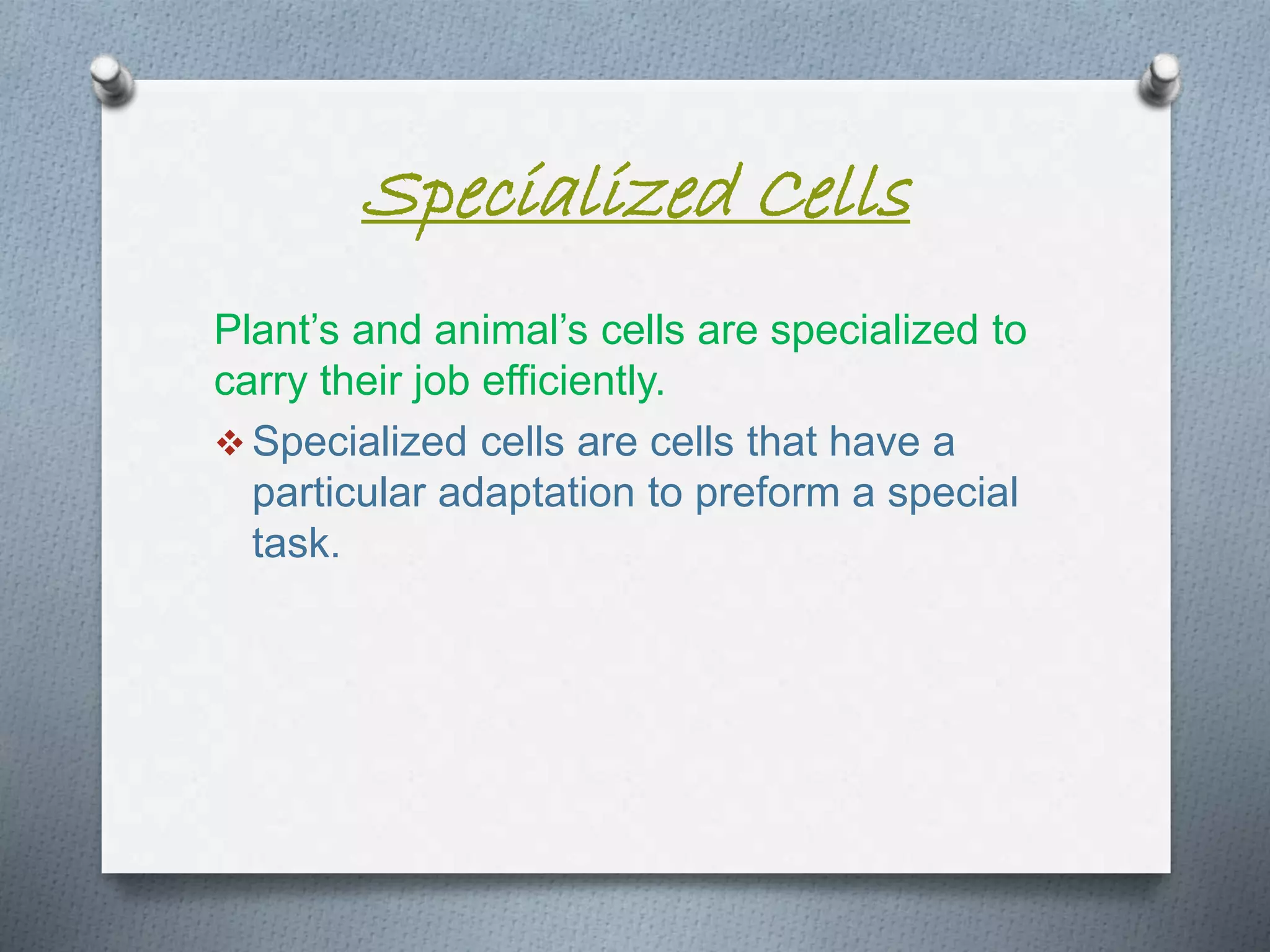Specialized Cells, Biology | PPTX