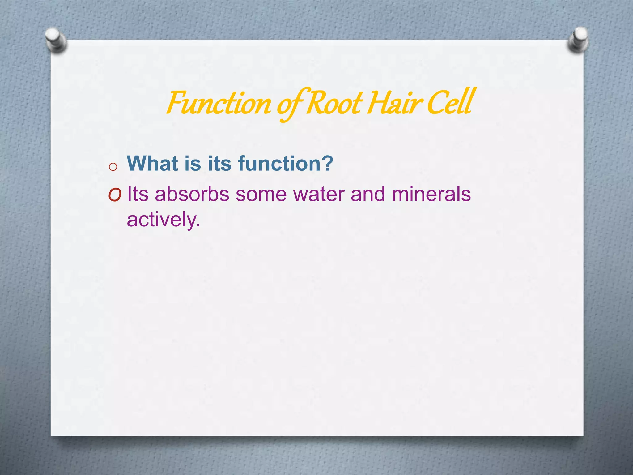 Specialized Cells, Biology | PPTX