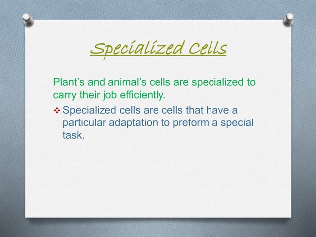 Specialized Cells, Biology | PPTX