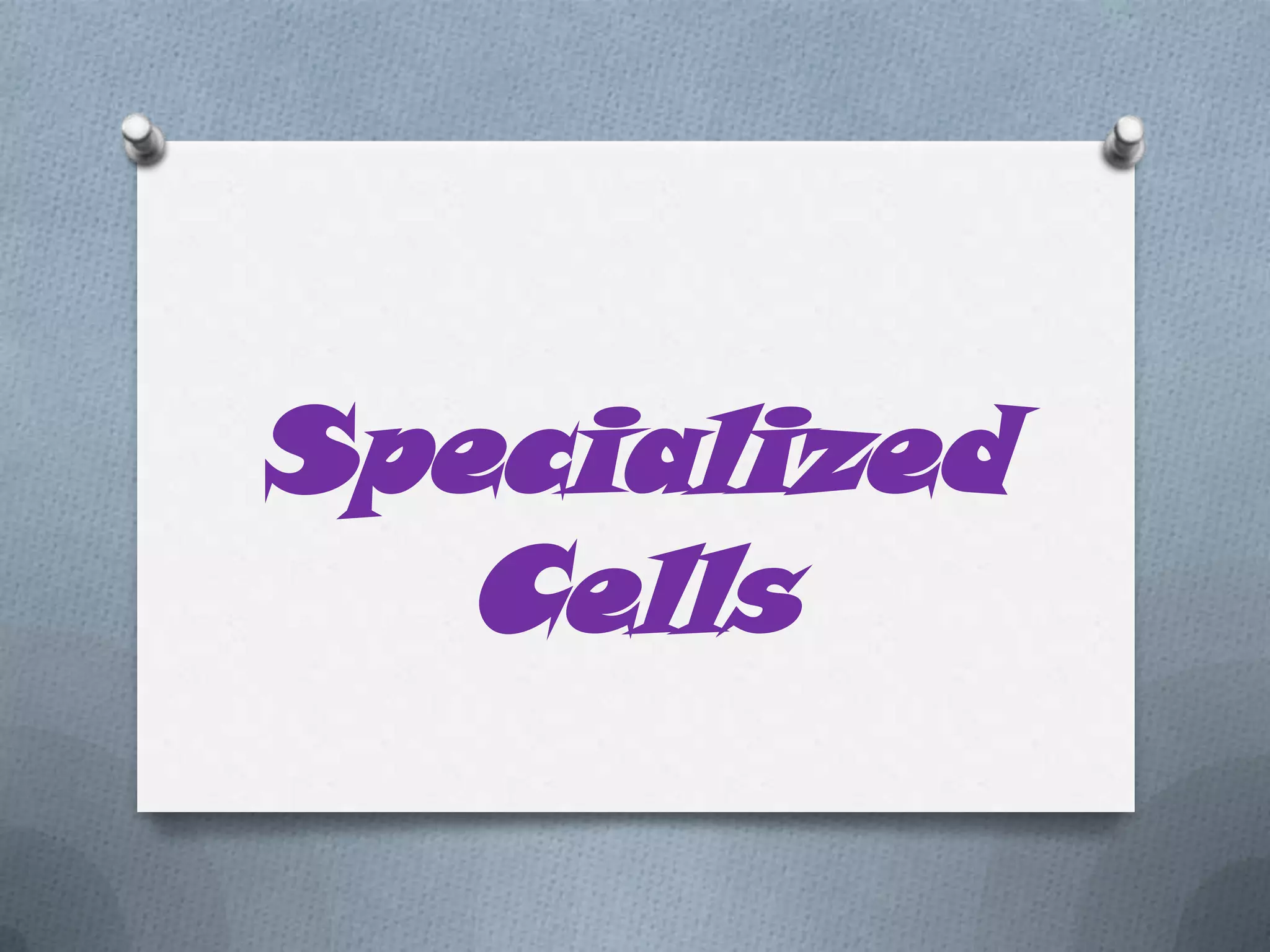Specialized cells,BIOLOGY,HUMANBODY | PPTX