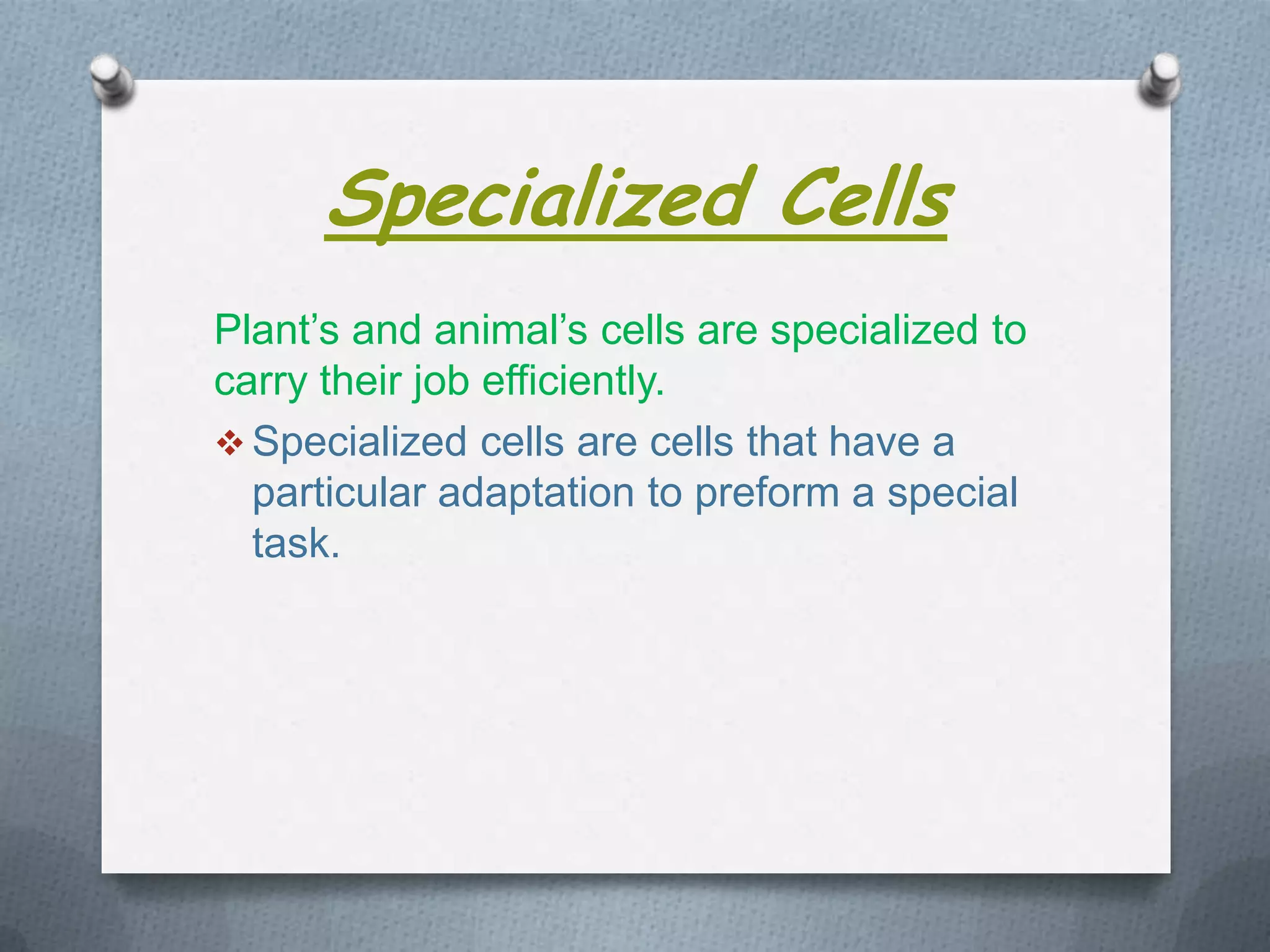 Specialized cells,BIOLOGY,HUMANBODY | PPTX