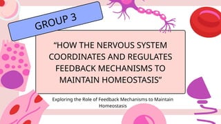 Grade 10 - Biology - Homeostasis Presentation | PPTX