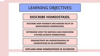 Grade 10 - Biology - Homeostasis Presentation | PPTX
