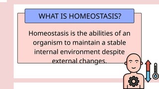 Grade 10 - Biology - Homeostasis Presentation | PPTX