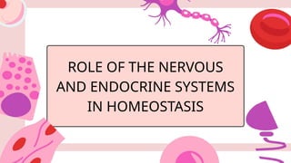Grade 10 - Biology - Homeostasis Presentation | PPTX