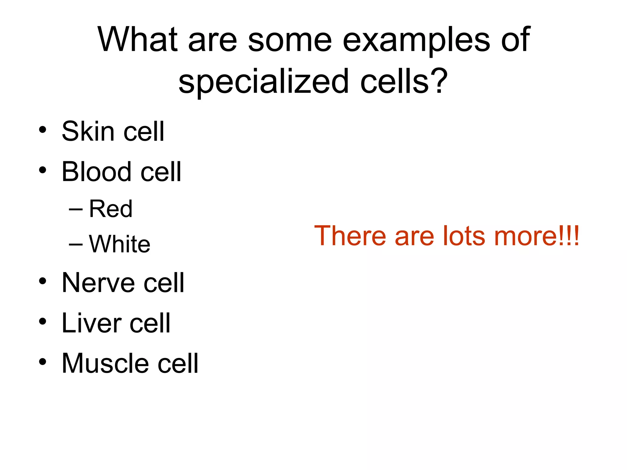 Specialized cells presentation | PPT