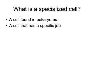 Specialized cells presentation | PPT
