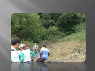 Specialized english for hotel management and tourism | PPTX | Hotels ...