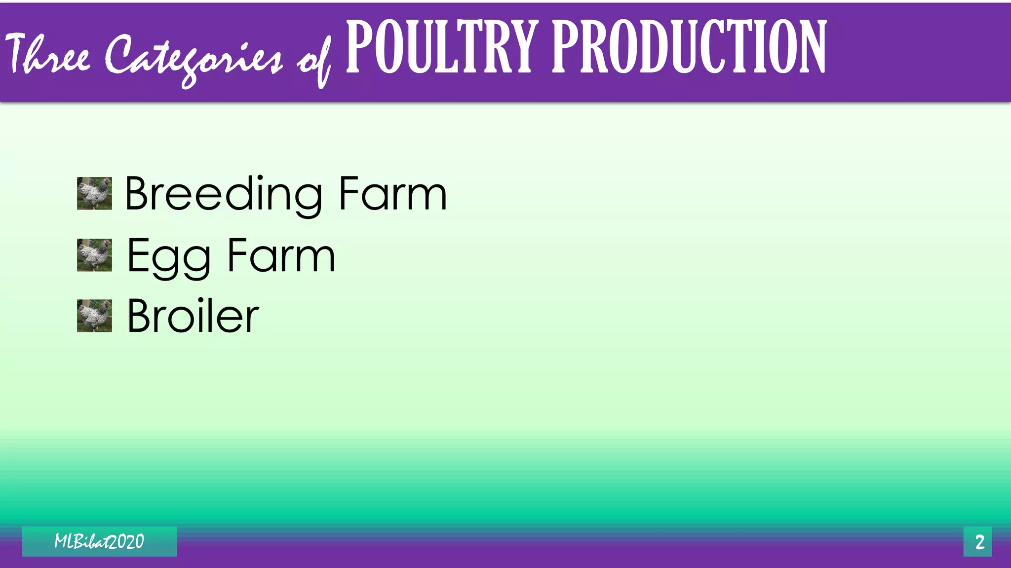 Specialized fields in POULTRY | PDF