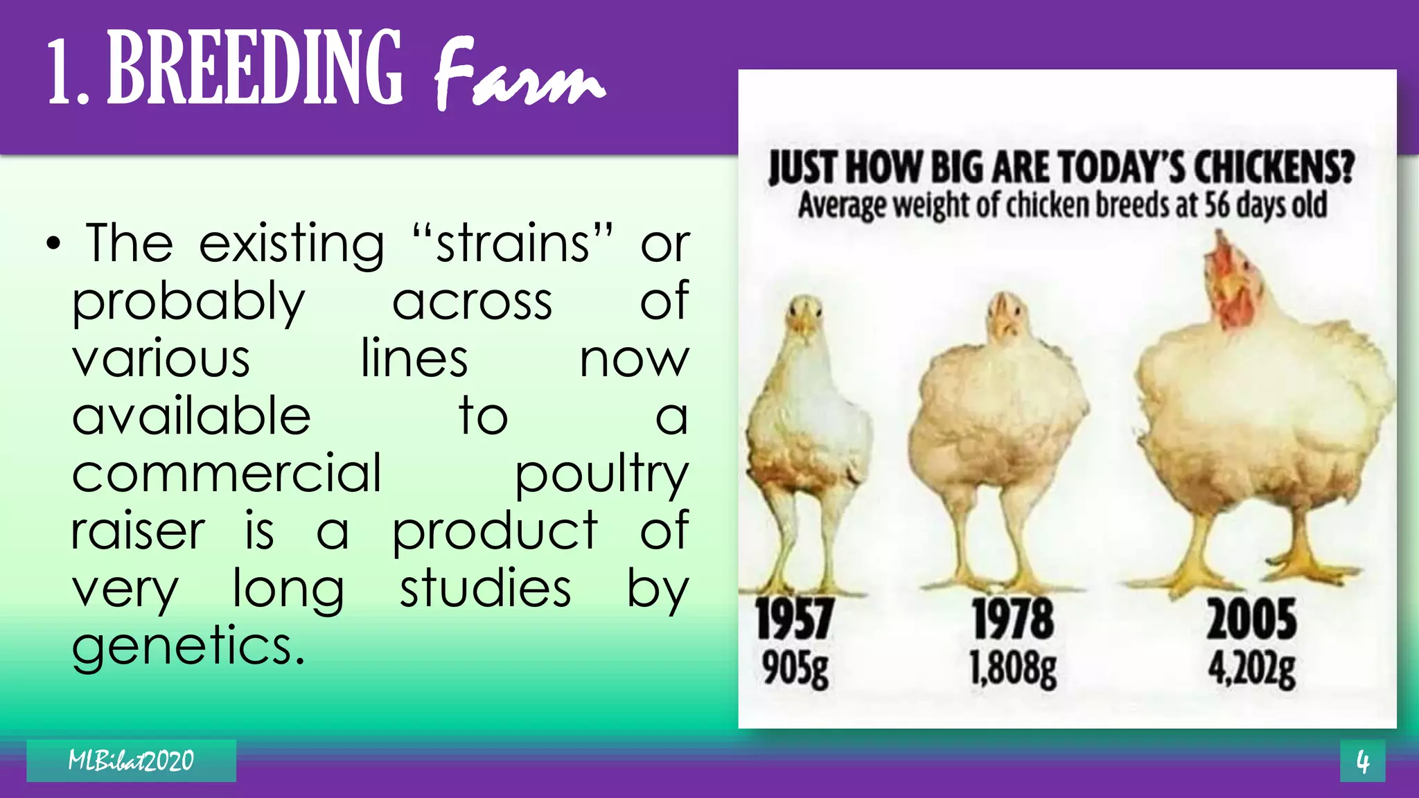 Specialized fields in POULTRY | PDF