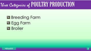 Specialized fields in POULTRY | PDF