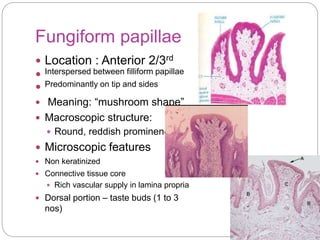Specialized Mucosa.pptx