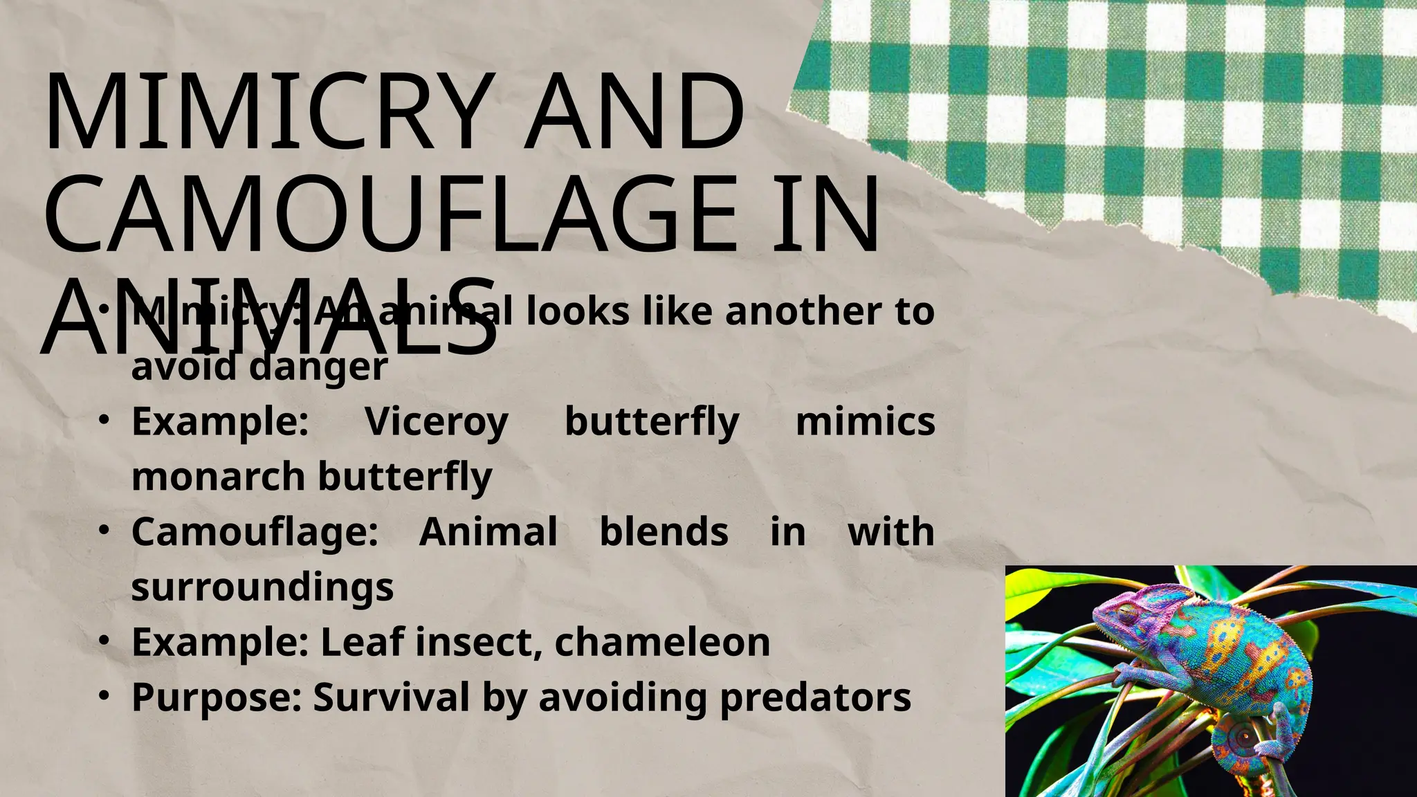 Specialized Structure in Plants and Adaptation | PPTX