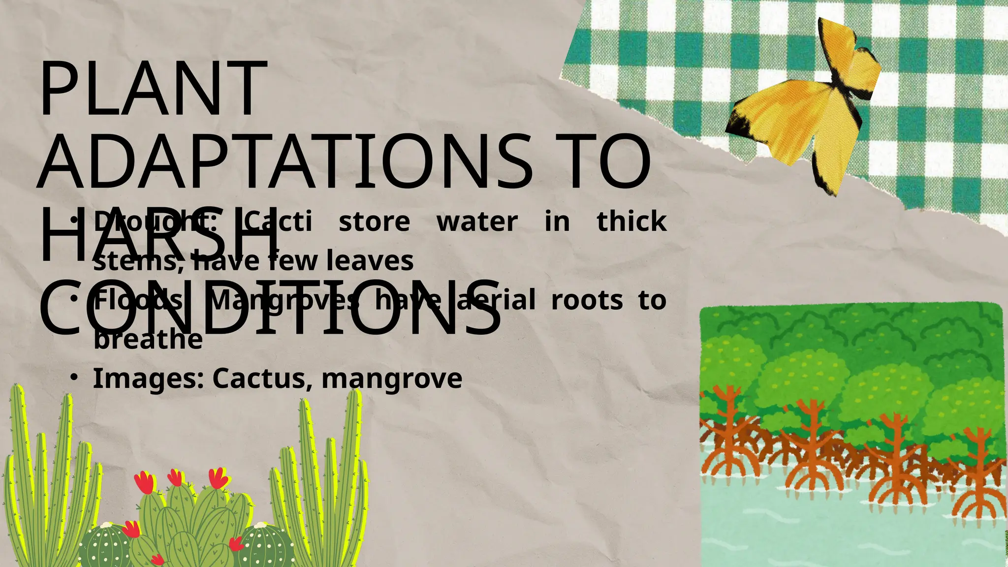 Specialized Structure in Plants and Adaptation | PPTX
