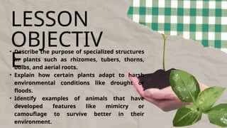 Specialized Structure in Plants and Adaptation | PPTX