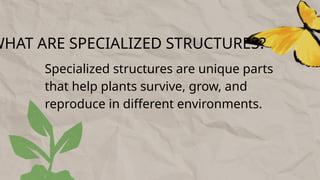 Specialized Structure in Plants and Adaptation | PPTX