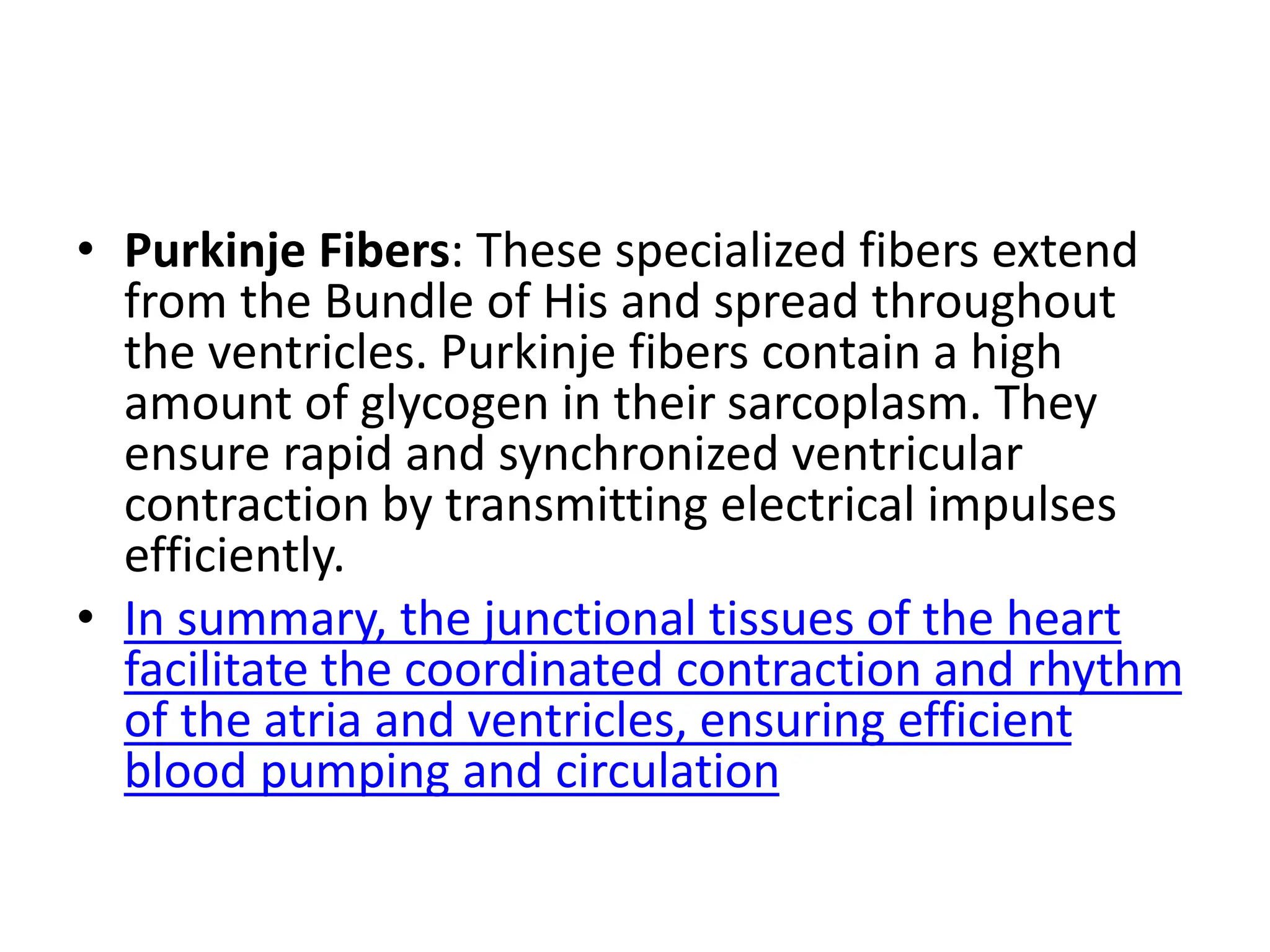 Special junctional tissue of heart.pptx.... | PPTX