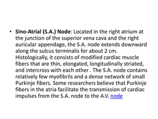 Special junctional tissue of heart.pptx.... | PPTX