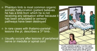 SPECIAL KINDS OF HALLUCINATIONS oroginal.pptx