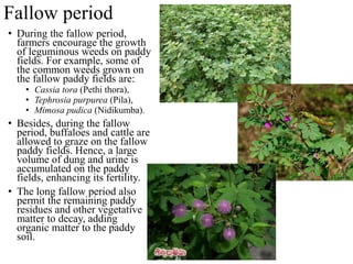 Special lecture on Traditional Agriculture | PPT