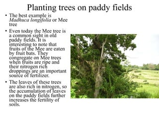 Special lecture on Traditional Agriculture | PPT