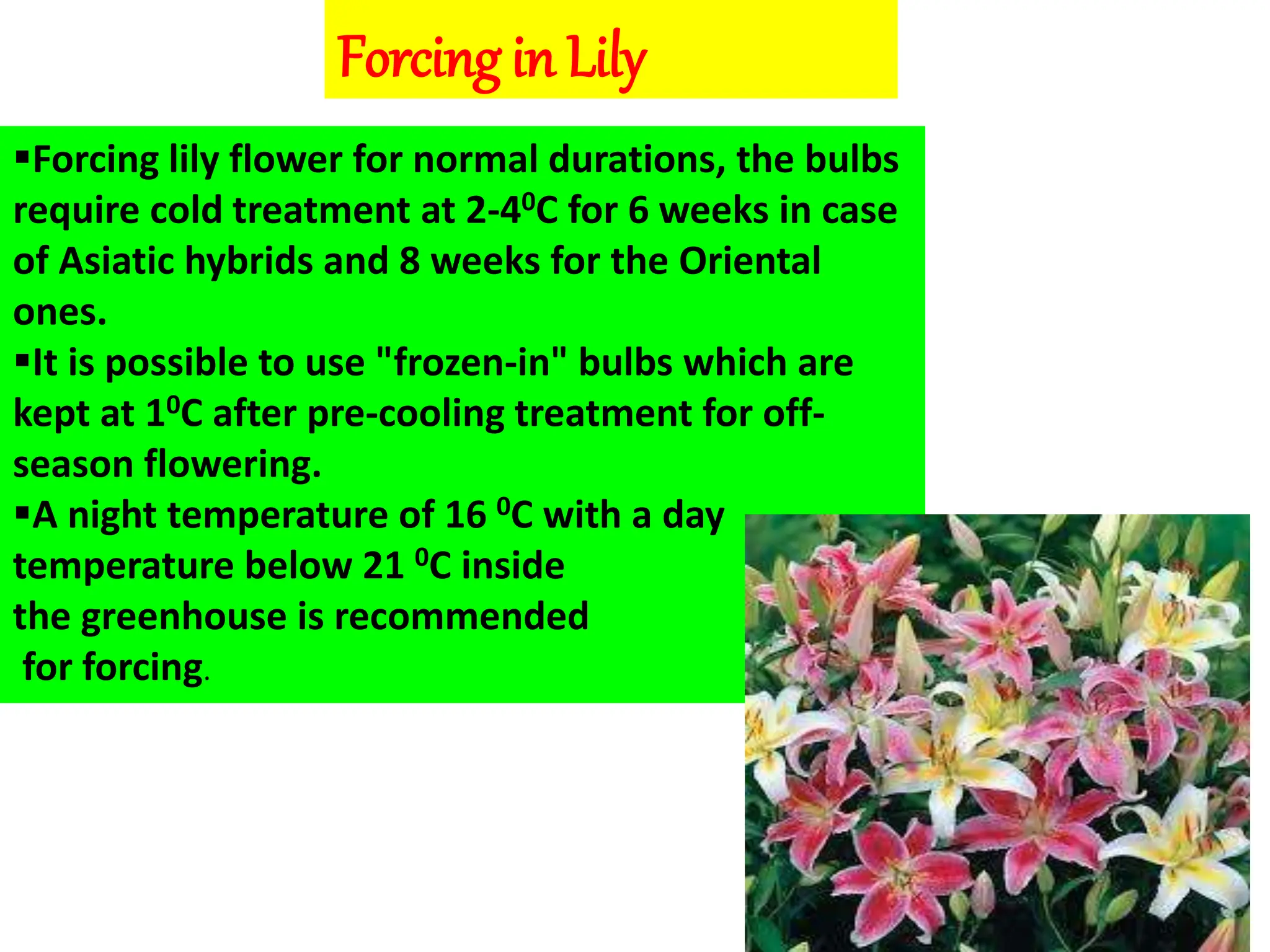 Special practices in diifferent cut flowers-221221904.pptx