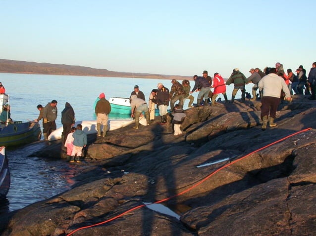 Locke School Presentation: NAHO | PPT