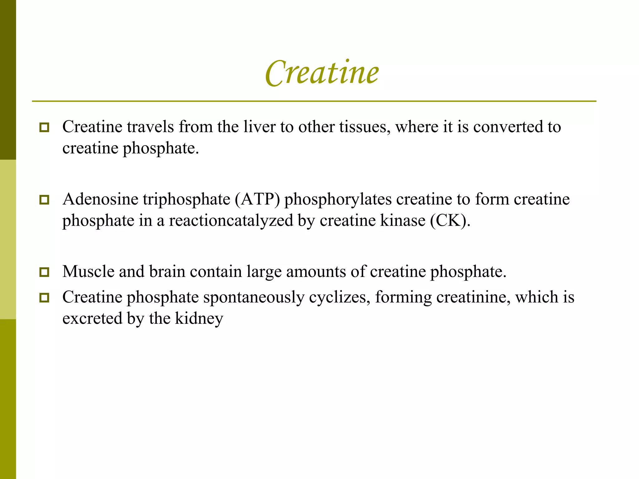 Special products derived from amino acids pash | PPTX
