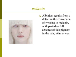 Special products derived from amino acids pash | PPTX