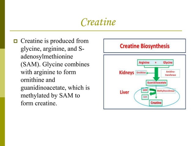 Special products derived from amino acids pash | PPTX