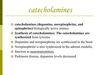 Special products derived from amino acids pash | PPTX