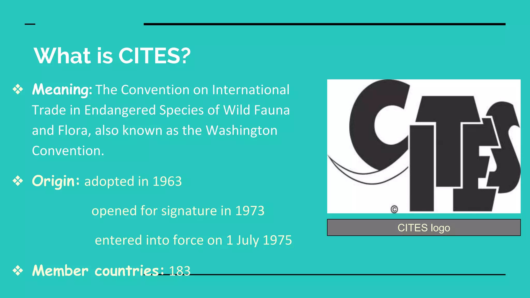 Special program under cites on elephants in diferent countries | PPTX