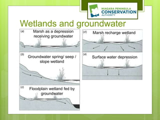 Biodiversity Offsetting - Groundwater Update | PPT