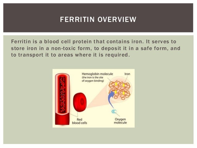 Specials 201: What Is Ferritin