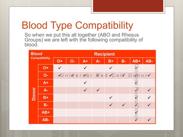 Specials 220: Blood Type Compatiability | PPT