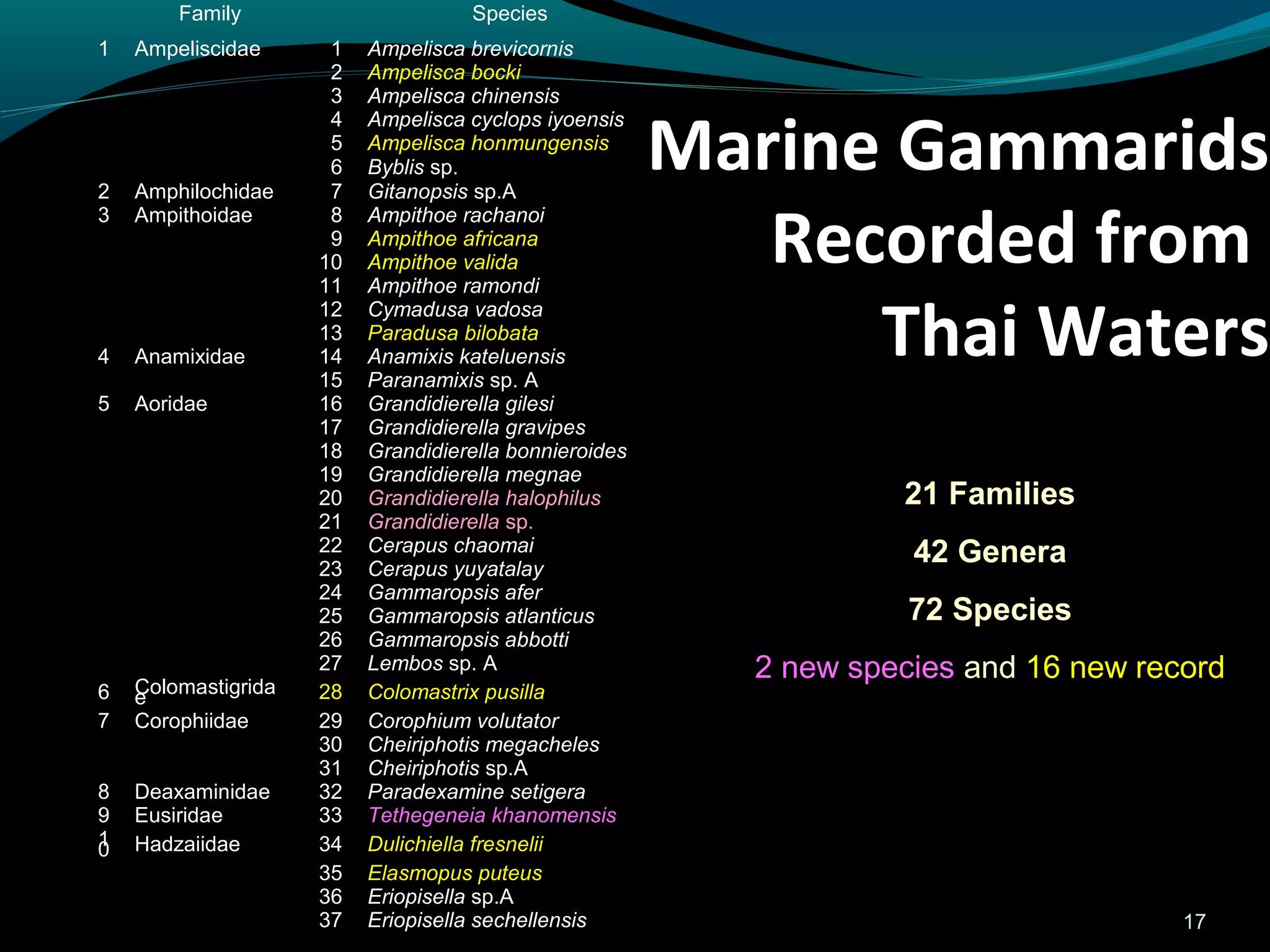 The diversity of marine gammaridean amphipods in Thai Waters | PPT